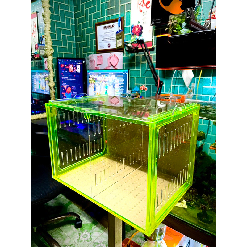 Acrylic Fish Box 30-20-20 (Integrated fish trap) | Shopee Philippines