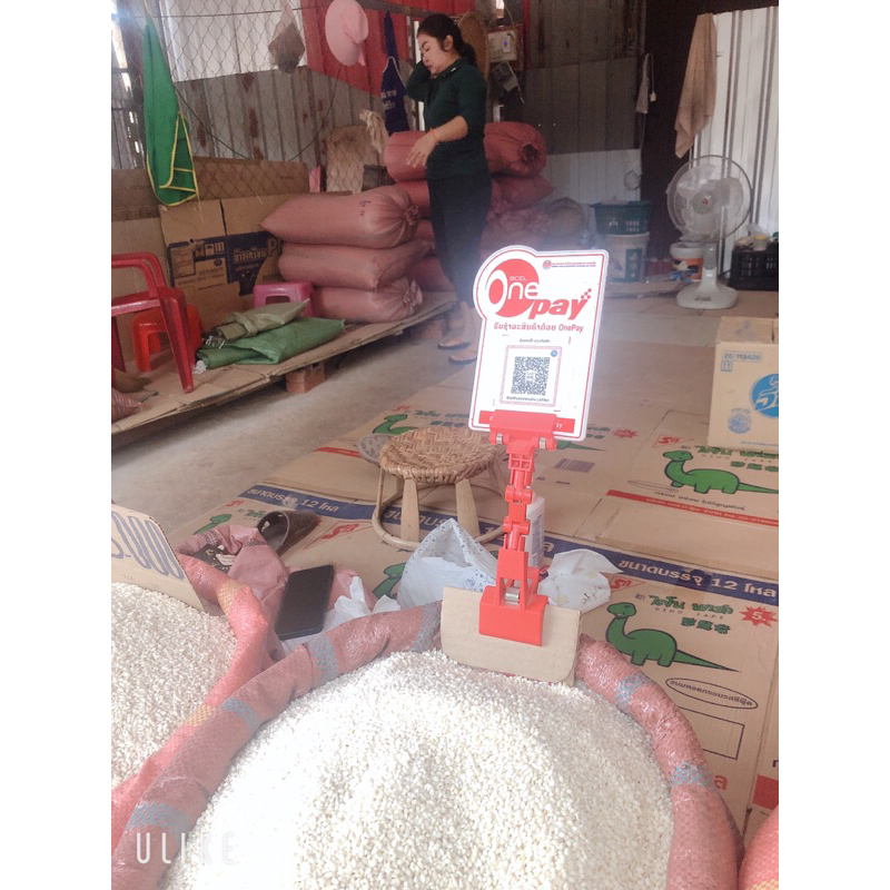 Combo 5kg Sticky Rice With kaynoi Sticky Rice Is Spicy And Fragrant ...