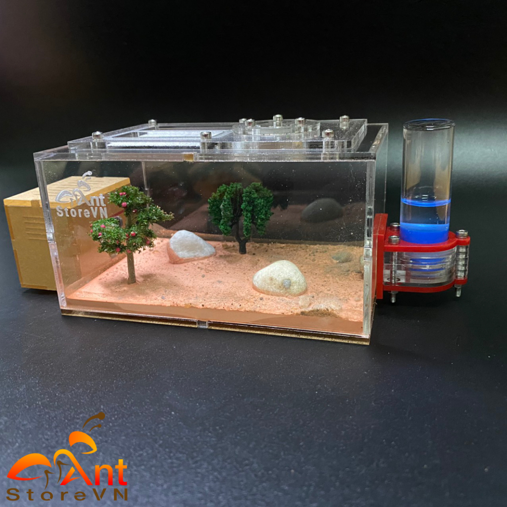 Ant Tank, OutWorld Ant Tank, Ant Nest, Exterior Area, Formicarium ...