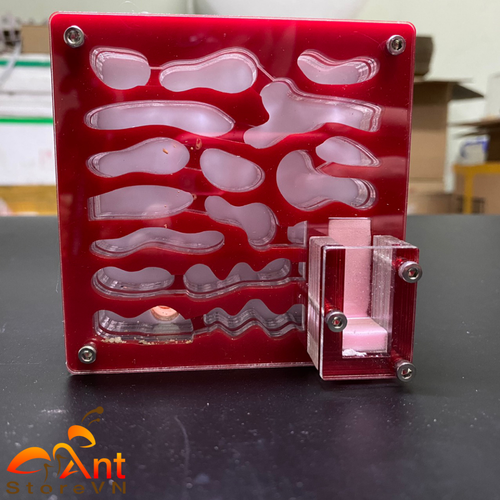 Ant Tank Ant Tank ant nest mica moisture-proof stainless steel mesh ant ...