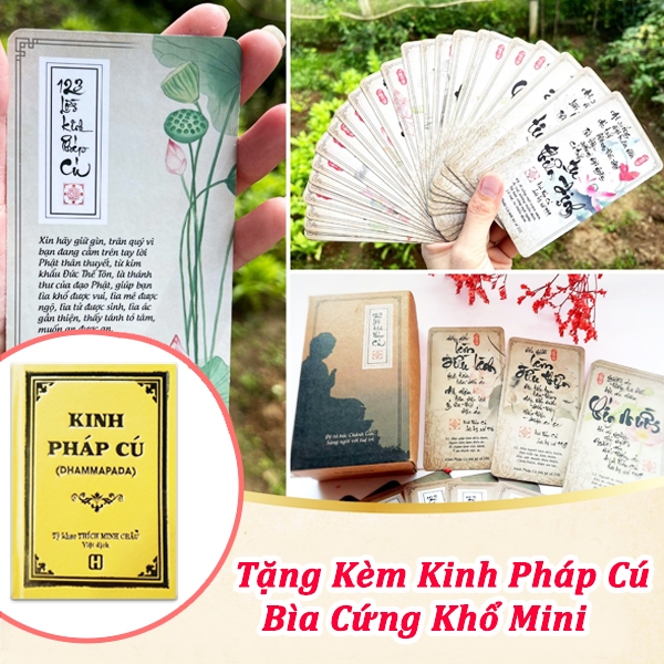 Book - Calligraphy Card Set with 123 Dhammapada Sutras (Pocket ...