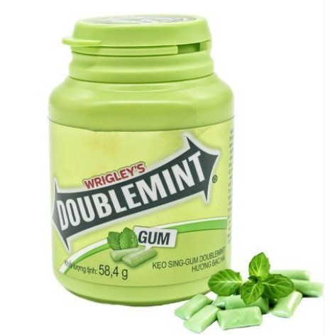 Sing Gum Doublemint Mint Jar 58.4g | Shopee Philippines