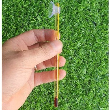 Aquarium thermometer - fish tank temperature measurement - mercury ...