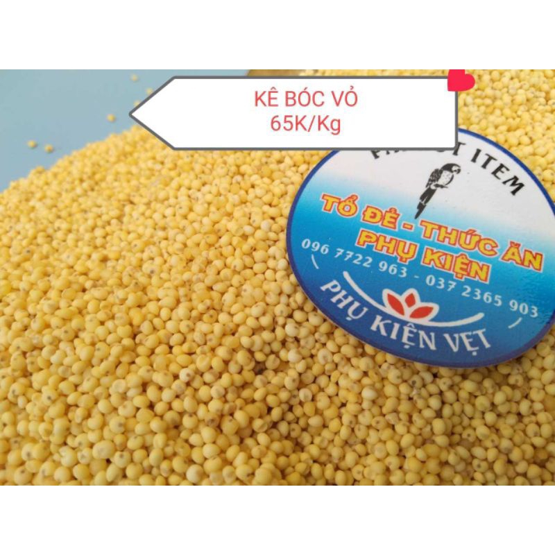 Peeled millet seeds (peeled millet) are used as food rich in nutrients ...