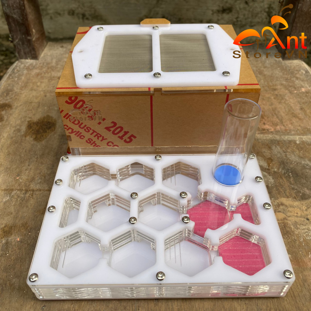 Ant Tank, ant cage, ant house, ant nest, ant cage, Formicarium | Shopee ...