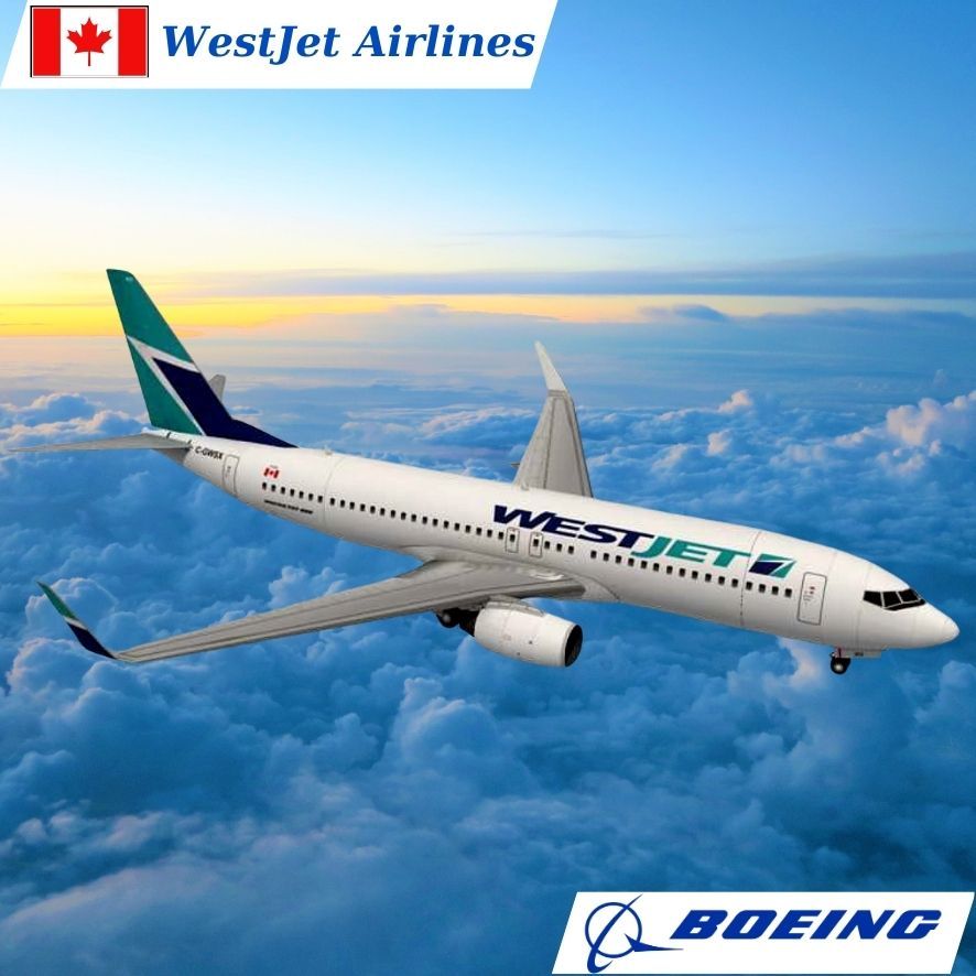 BOEING 737 WestJet Commercial Airplane Paper Model | Shopee Philippines