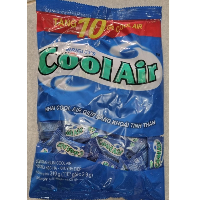 Singum CoolAir pack of 100 capsules free 10 capsules (319g) | Shopee Philippines