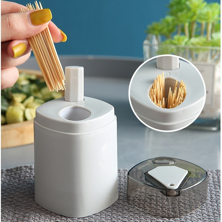 Plastic Toothpick Box with Sealed Lid and Smart Push Button, Barley ...