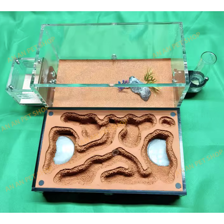 Red Earth Ant Tank | Large Size Premium Mixed Plaster Tank | Shopee ...