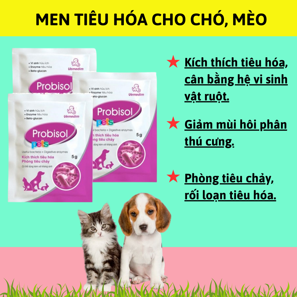 Probisol Vemedim Digestive Enzyme for Dogs and Cats Prevents ...