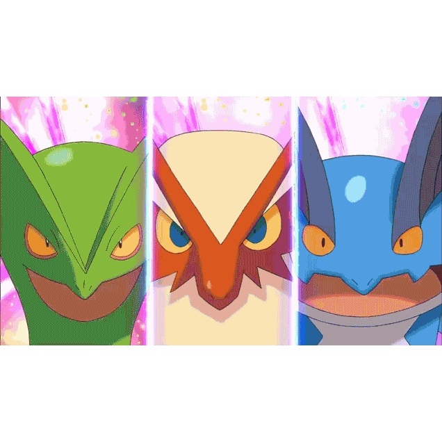 3rd gen Pokemon Set: Sceptile, Blaziken, Swampert | Shopee Philippines