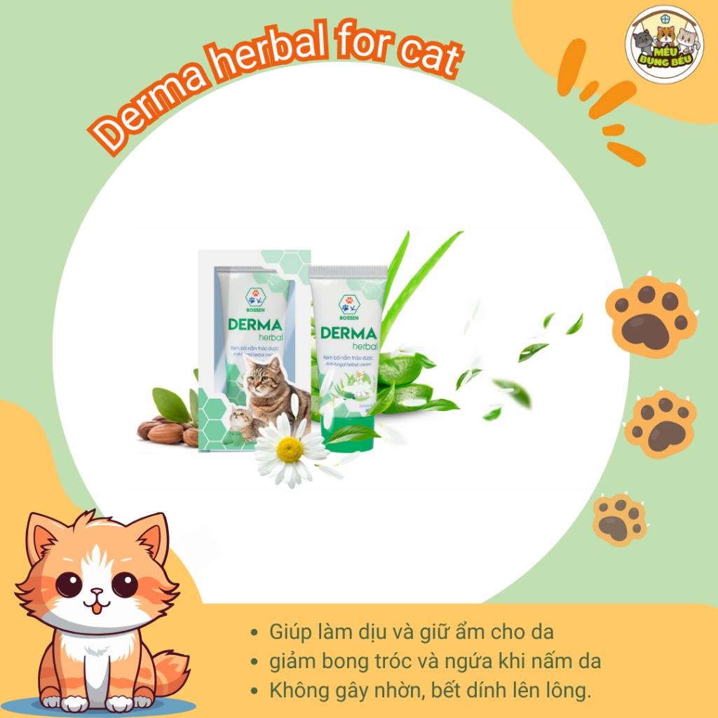 Derma herbal for cat herbal Topical Cream for Cats With Skin Fungus ...