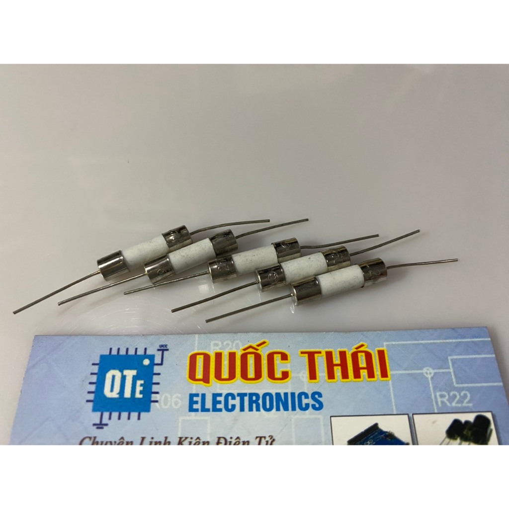 Combo 5 Porcelain Fuses With Pins (Choose Value) | Shopee Philippines
