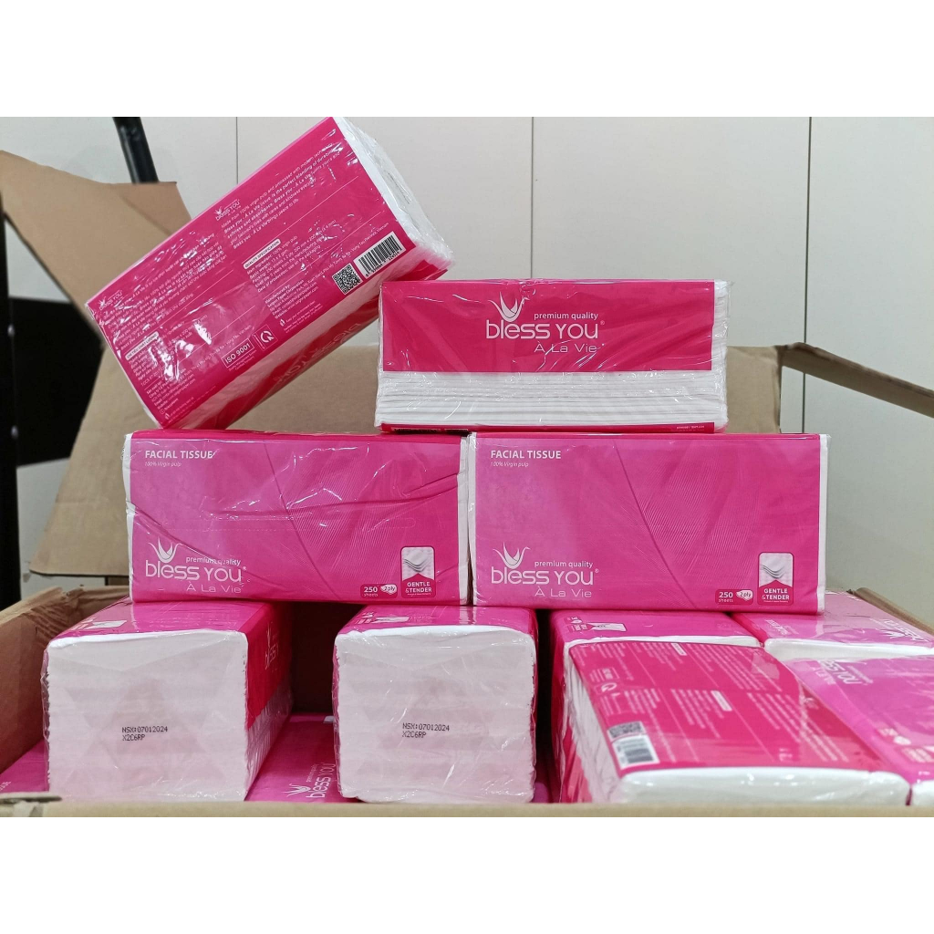 Bless You Silk Tissue Paper Towel 2 Layers Pack 250 Sheets - Genuine ...
