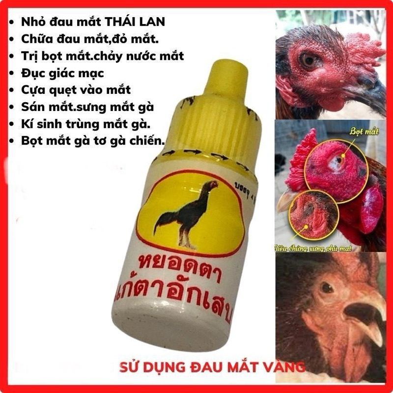 Golden eye drops, eye pain, eye foam for fighting chickens | Shopee ...