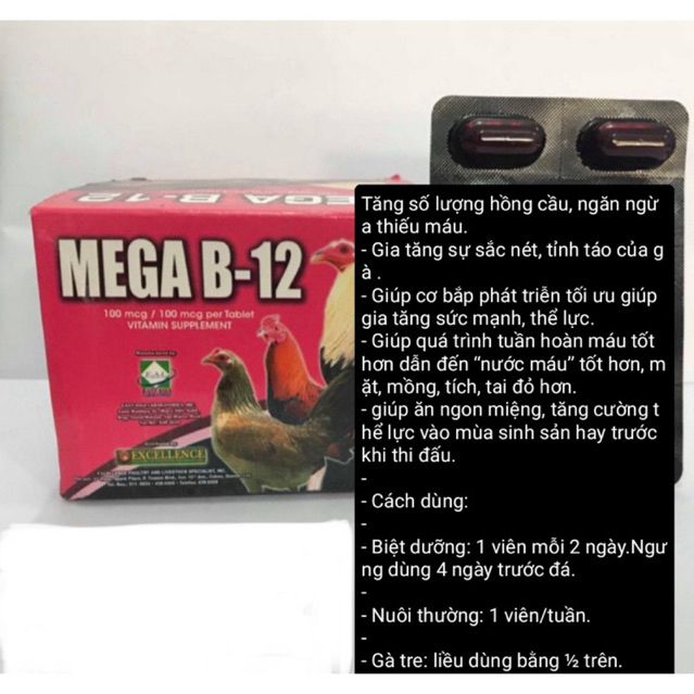 MEGA B-12, nourishes blood, increases red blood cells, nourishes blood ...