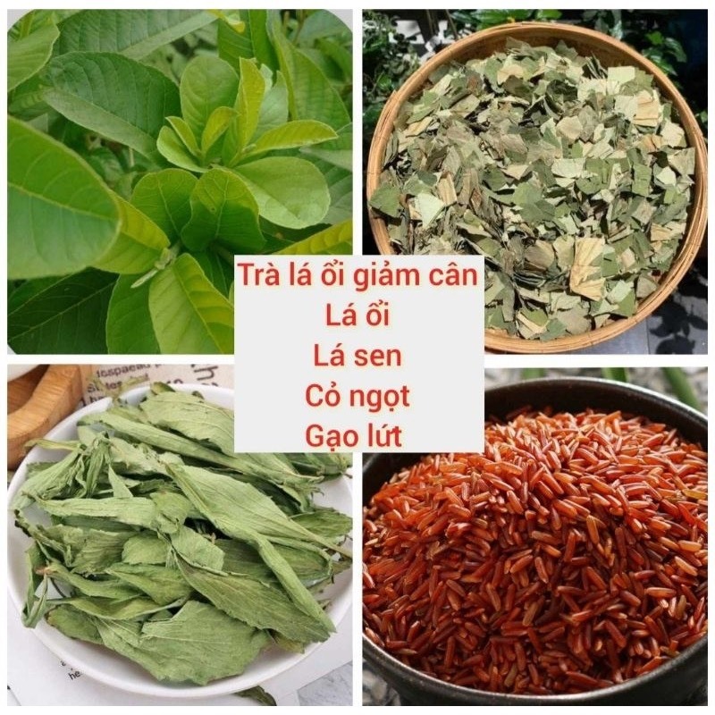 Guava leaf tea bags and 4 flavors of tea including guava, Gynostemma ...