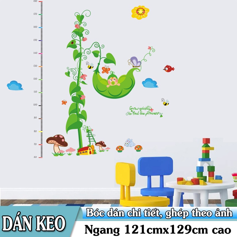 Wall decoration Decal - Magic bean ruler | Shopee Philippines