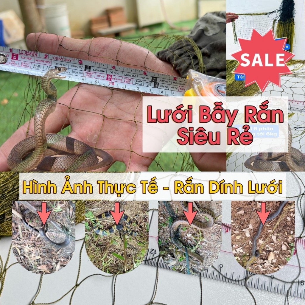 Latest snake trap net 2/1m, Thai parachute net, newest snake trap 2024 ...