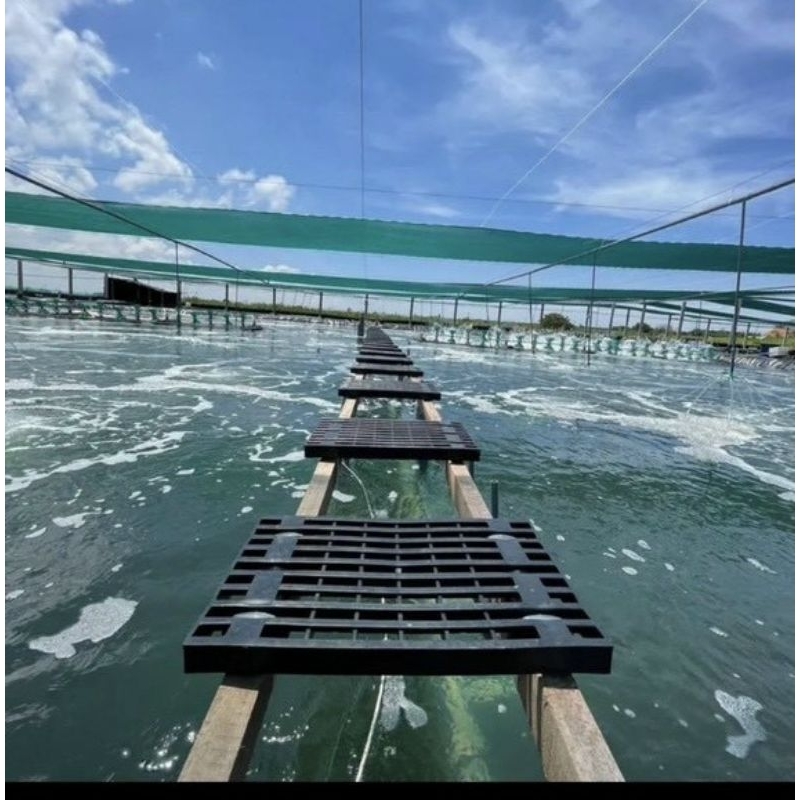 Plastic bridge mat to make a folding bridge to visit shrimp, fish and ...