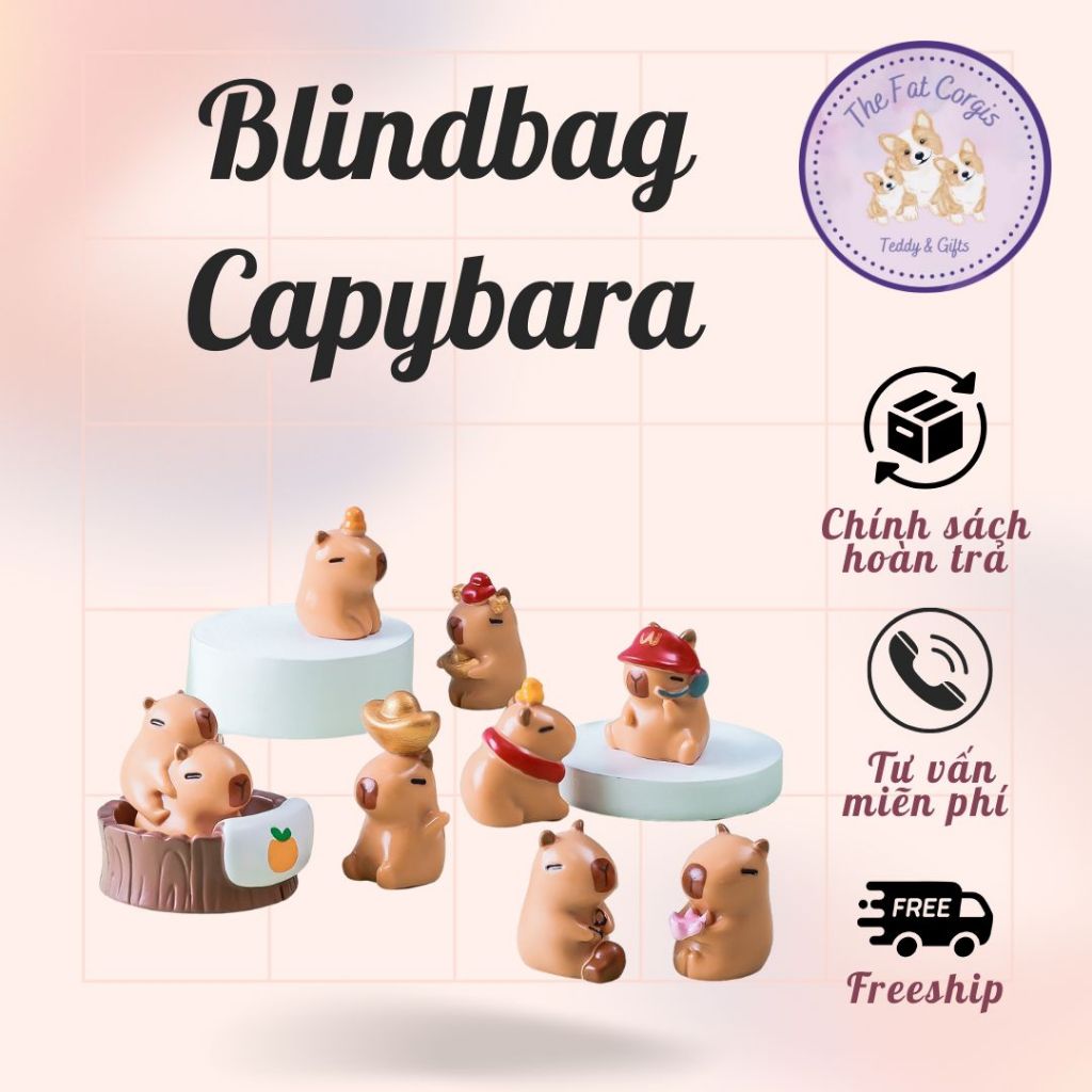 (1 Bag) Blindbag Blind Bag Decorative Character Model Capybara ...