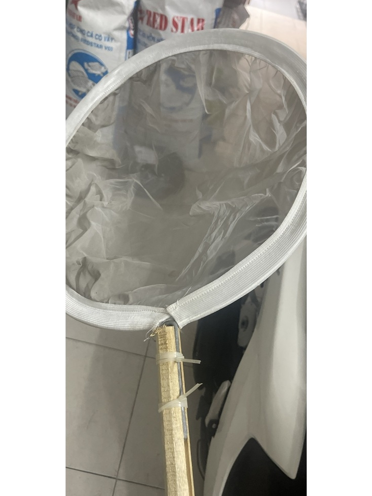 Round racket, sturdy wooden handle, diameter 40 cm, short pine ...