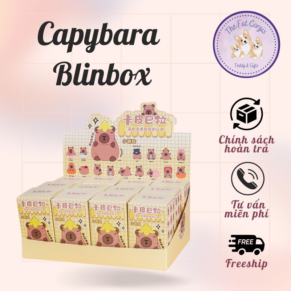 (1 Box) Blindbox Blind Box Character Model Capybara Guangzhou Water ...