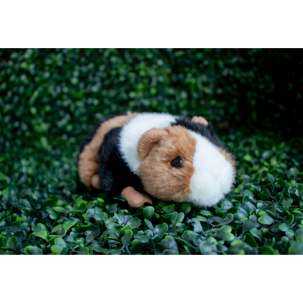 Be MY - SIMULATION STUFFED ANIMALS - ROYAL MOUSE - GUINEA PIG - 7 ...