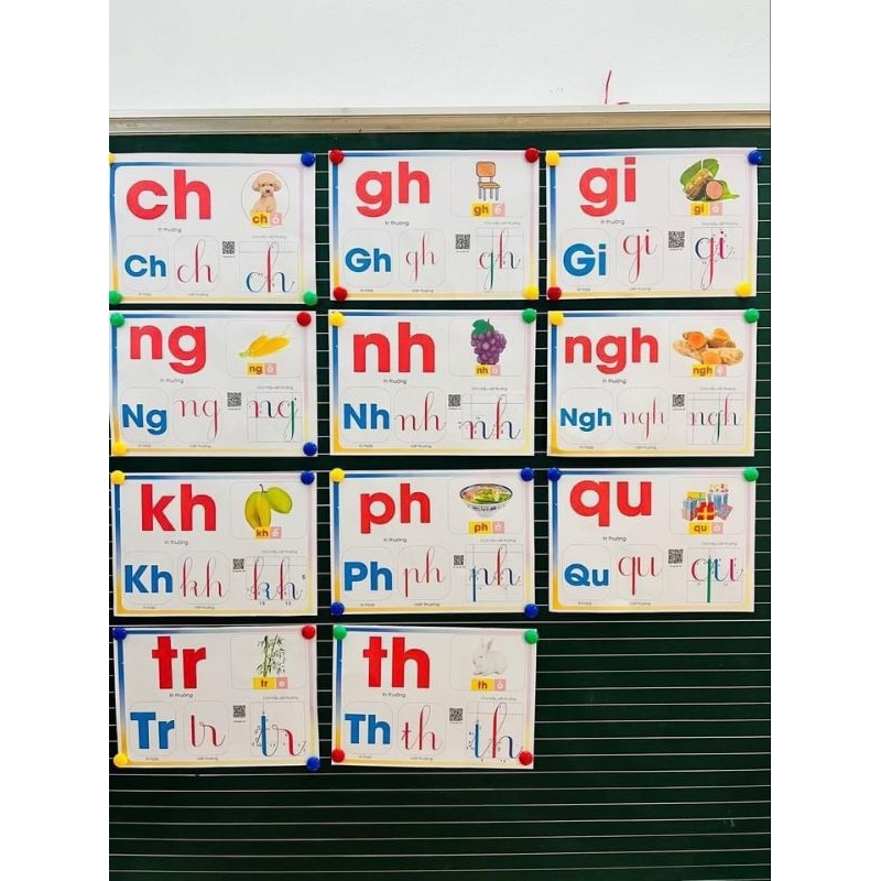 Glossy A4 Letter Identification Card Set With QR Code How To Write ...