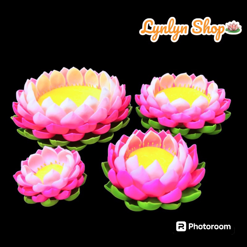 Pink and White Lotus Stand | Shopee Philippines
