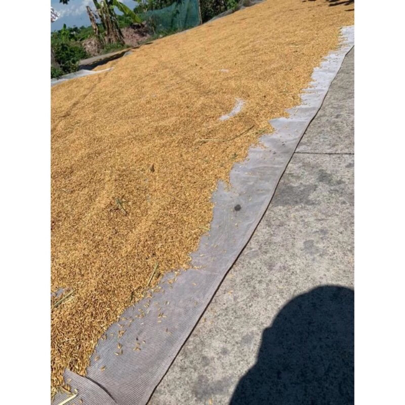 Grain Drying Mesh, Agricultural Drying Mesh | Shopee Philippines