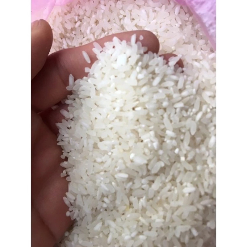 New Crop khang Dan Rice/Pure khang Dan Rice Flour | Shopee Philippines