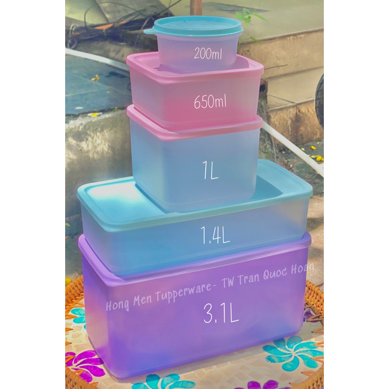 Life Genuine Large Size Thailand Cool Storage Box Set | Shopee Philippines