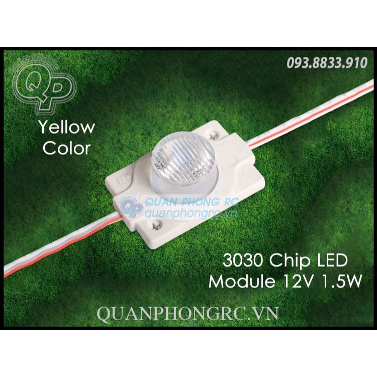 3030 LED Chip Module 1 Bulb 12V 1.5W Yellow (1 Piece) | Shopee Philippines
