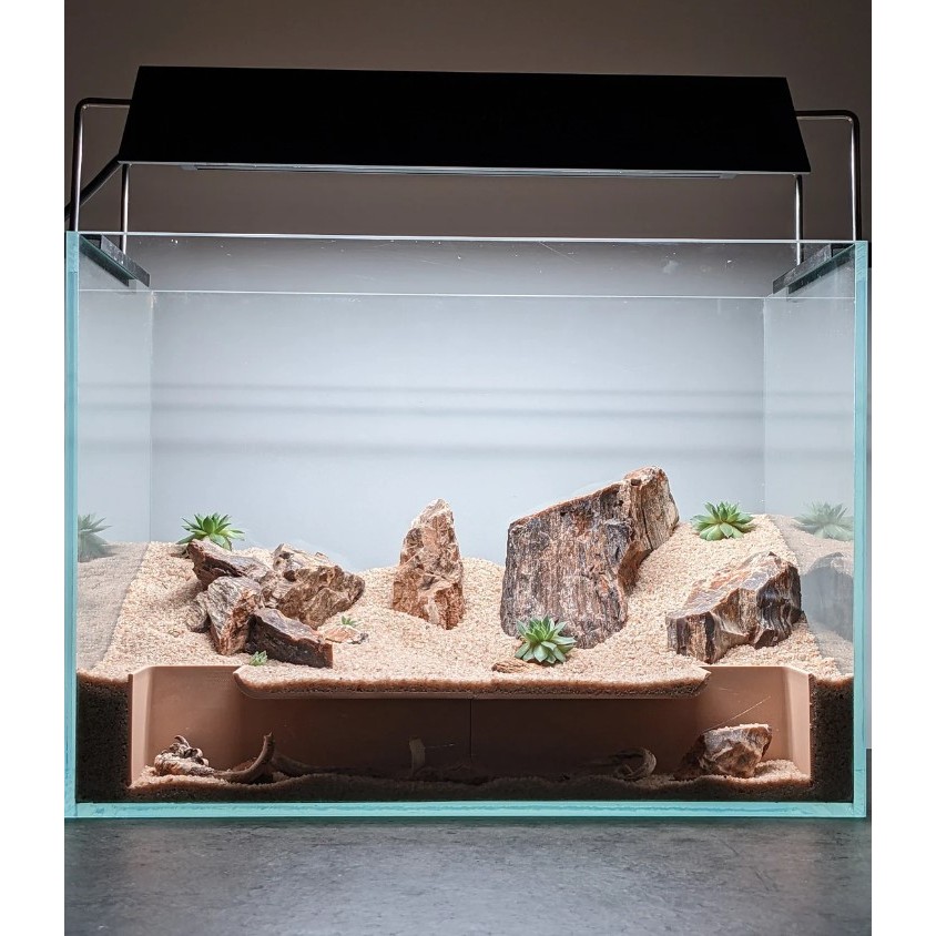 Fish cave under aquatic substrate V3 - votri3d - V48 | Shopee Philippines
