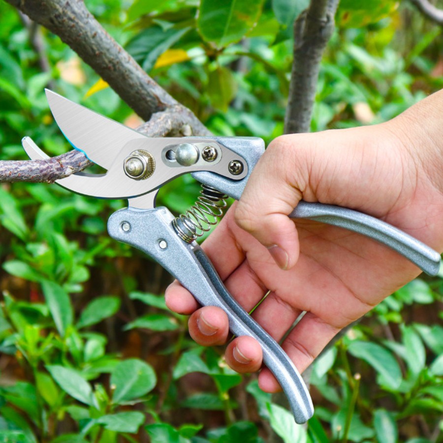 Forced BRANCH CUTTING SCISSORS made in JAPAN [Genuine] - JAPAN SK5 ...