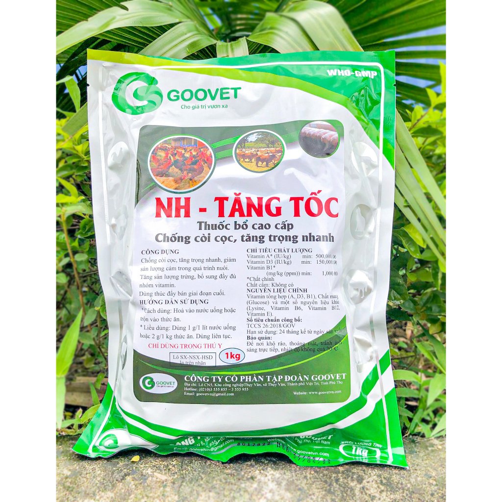 Speed UP – 1KG – GOOVET – Prevent stunting, gain weight quickly ...