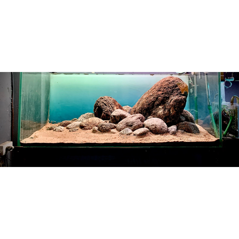 Aquatic Rattan Pebbles 1kg | Shopee Philippines