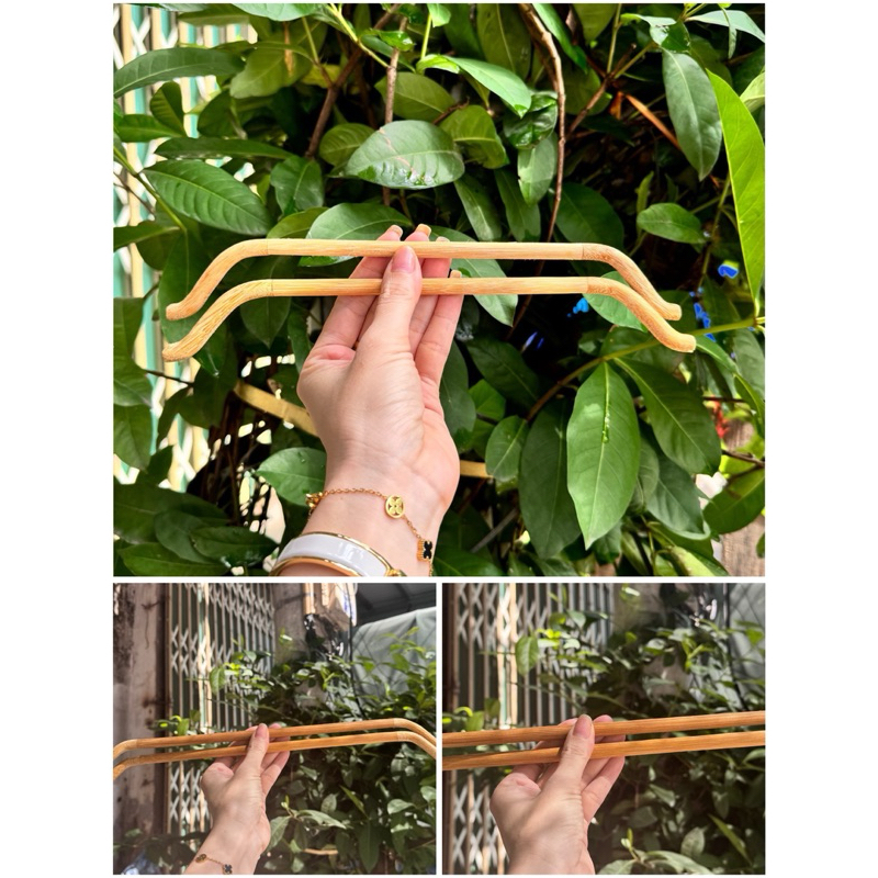 Bamboo bridge for bird cages of Chao Mao, Sunbirds, and jackfruit ...