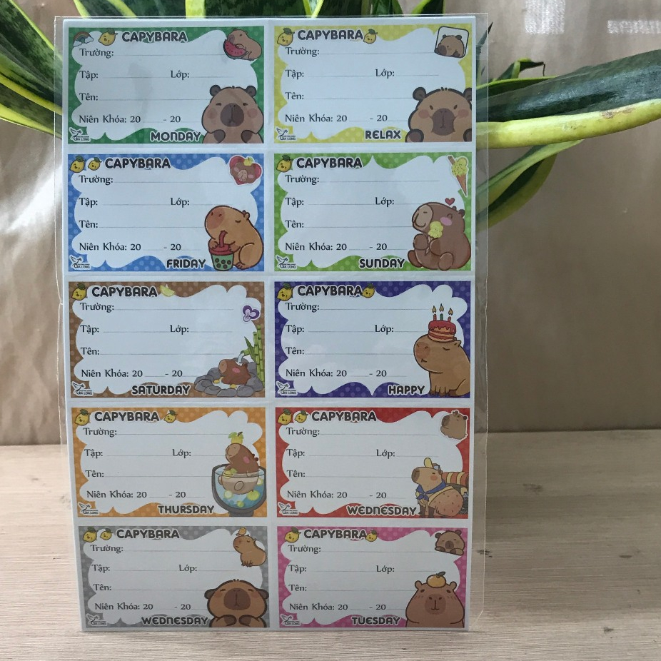Student notebook labels 1 stack (50 labels) capybara,labubu,curumi ...