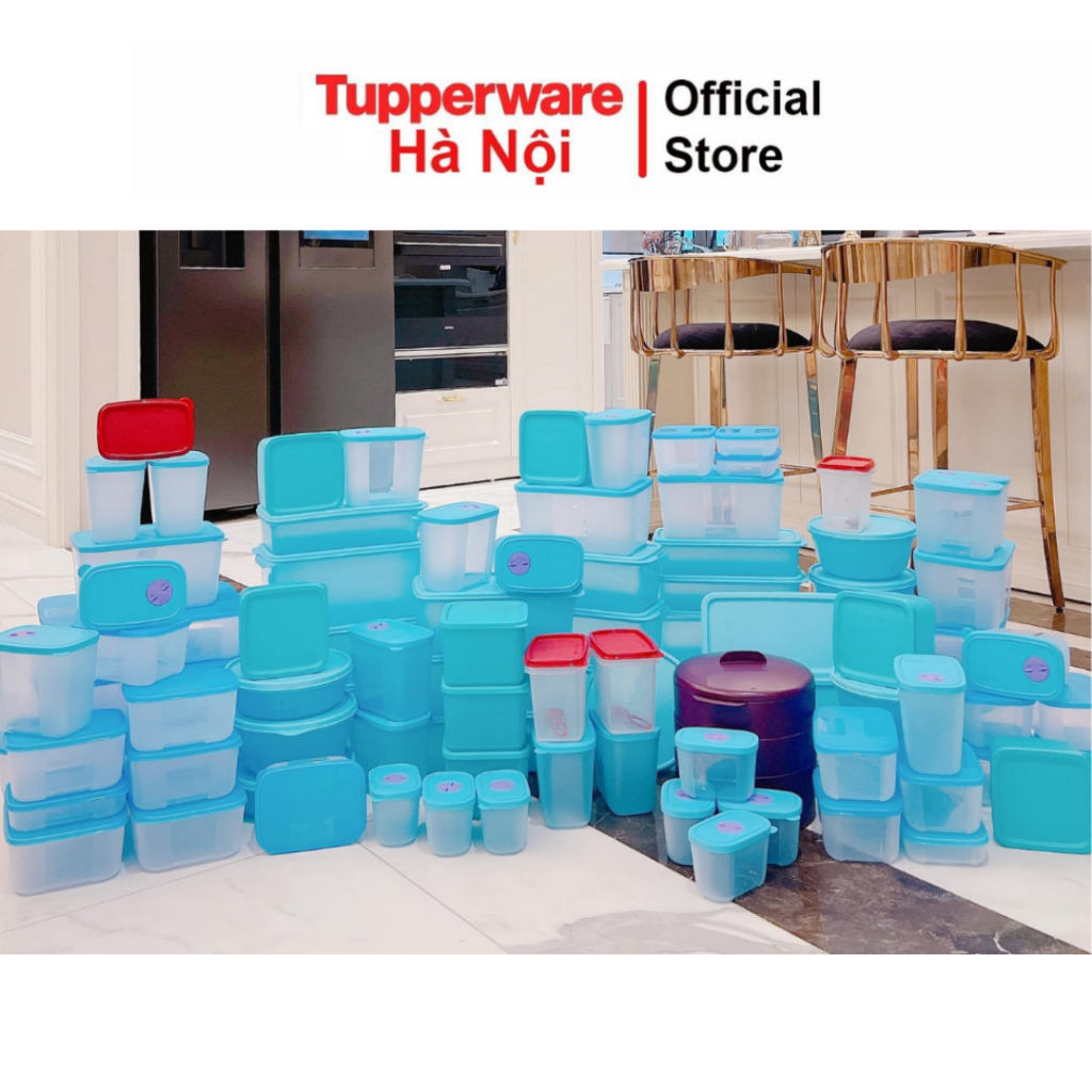 Tupperware Freezermate GenI Gen II retail freezer boxes with all kinds ...