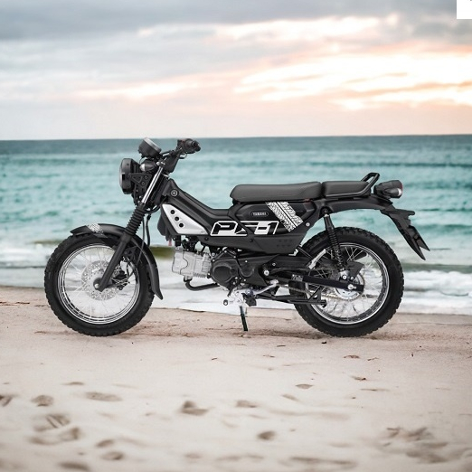 PG1 Motorcycle Decal Set for Yamaha PG1 Motorcycle | Shopee Philippines