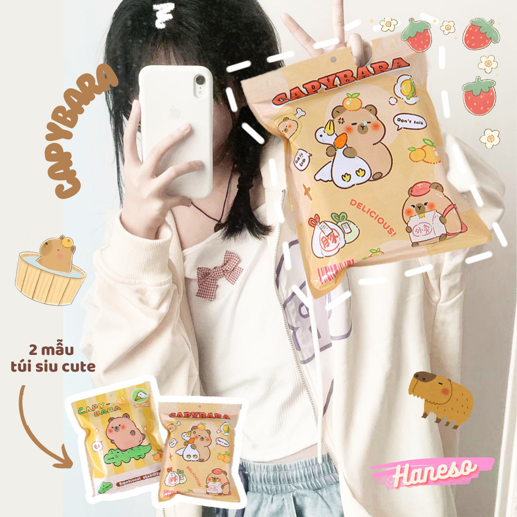 Haneso Dignity Bag Capybara Lucky Box Guinea Pig Blind Bag Gift Toy ...