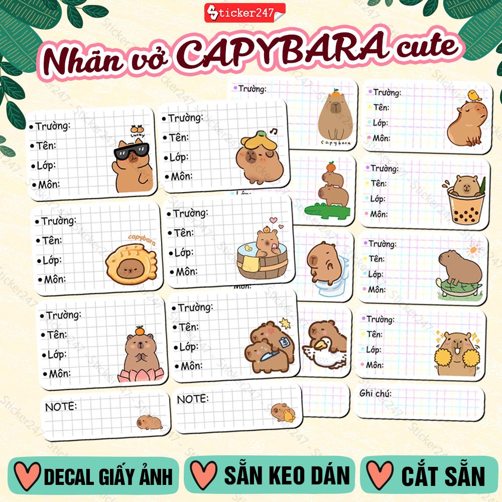 Capybara Notebook Label - Cute Capybara Label Paper, Meme, Classic ...