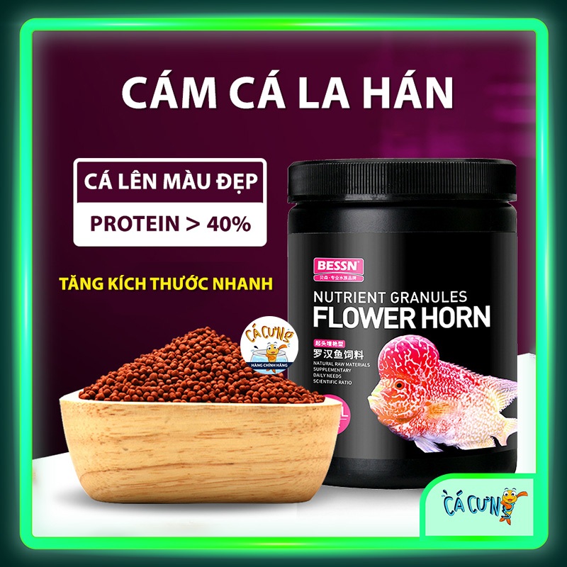 Arhat fish bran - BESSN Flower Horn fish food for arhat fish (Company ...