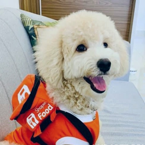 Cosplay SHIRT WITH SHOPEE SHIPPER BAG SUPER CUTE FOR DOGS AND CATS ...