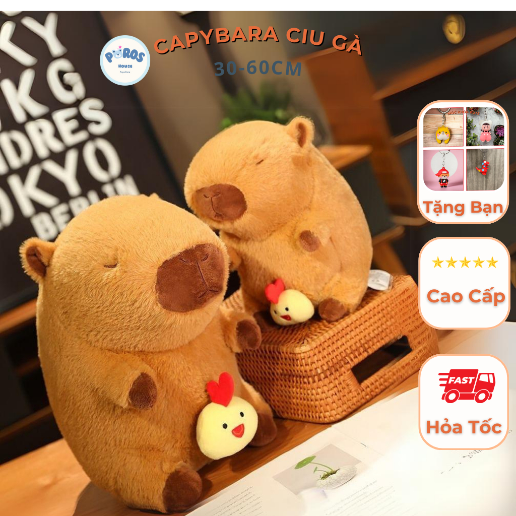 Chicken capybara teddy bear, Chicken capybara, High quality cute teddy ...
