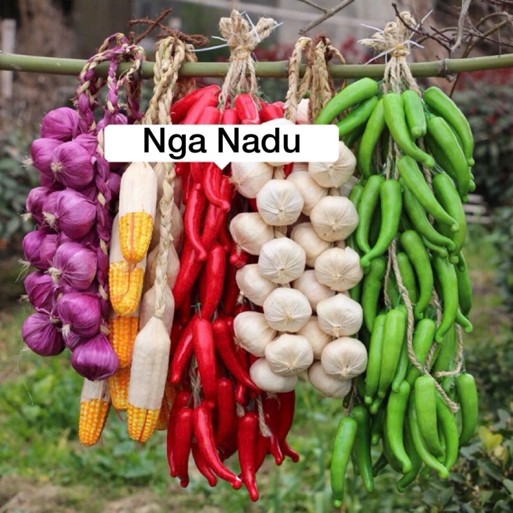 Realistic fake strings of onions, garlic, chili - strings of fruits ...