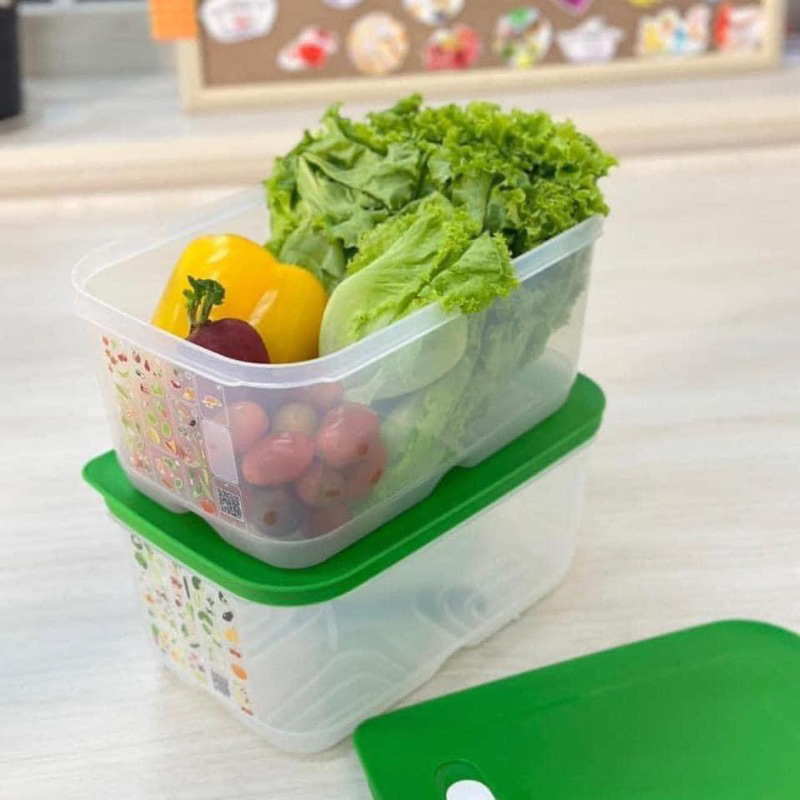 Vensmart 4.4L cool storage box (1 box) | Shopee Philippines