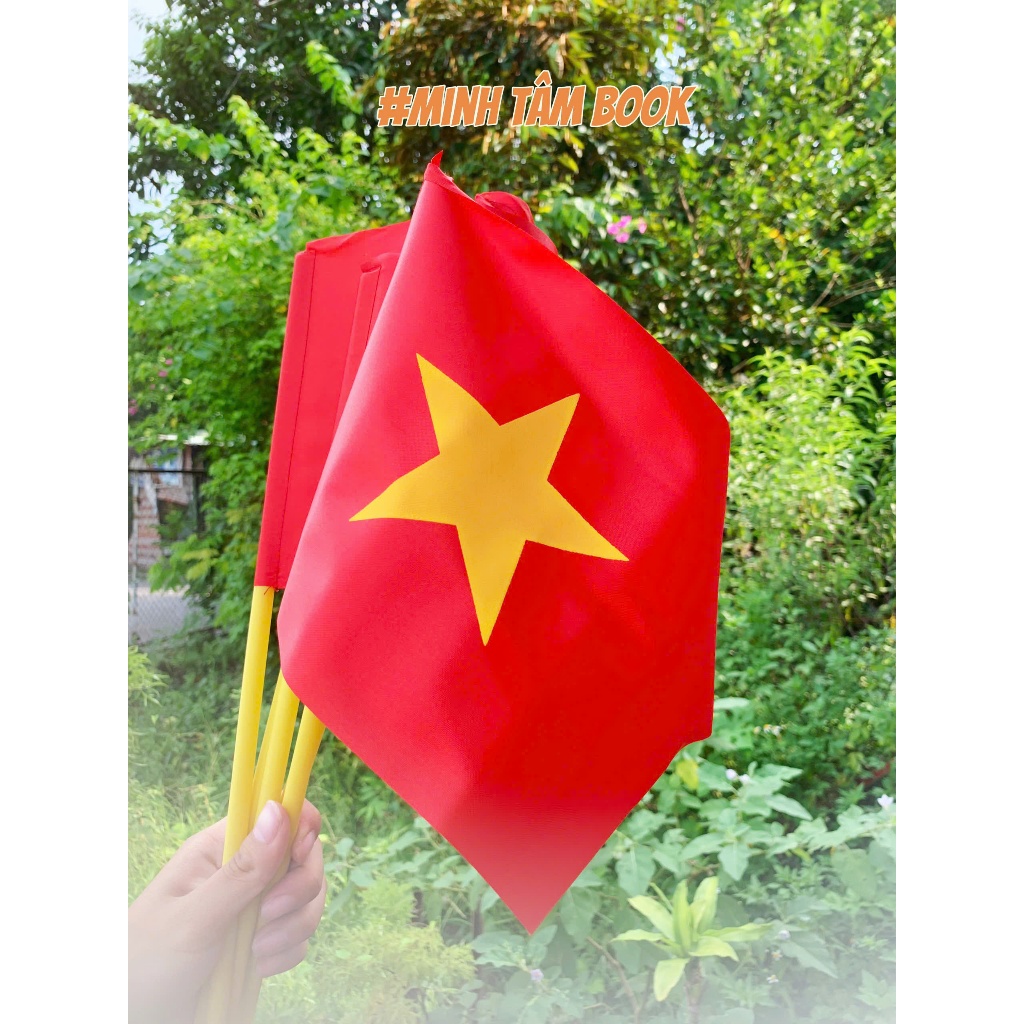 Red Flag with Yellow Star, Handheld National Flag, Opening Ceremony ...